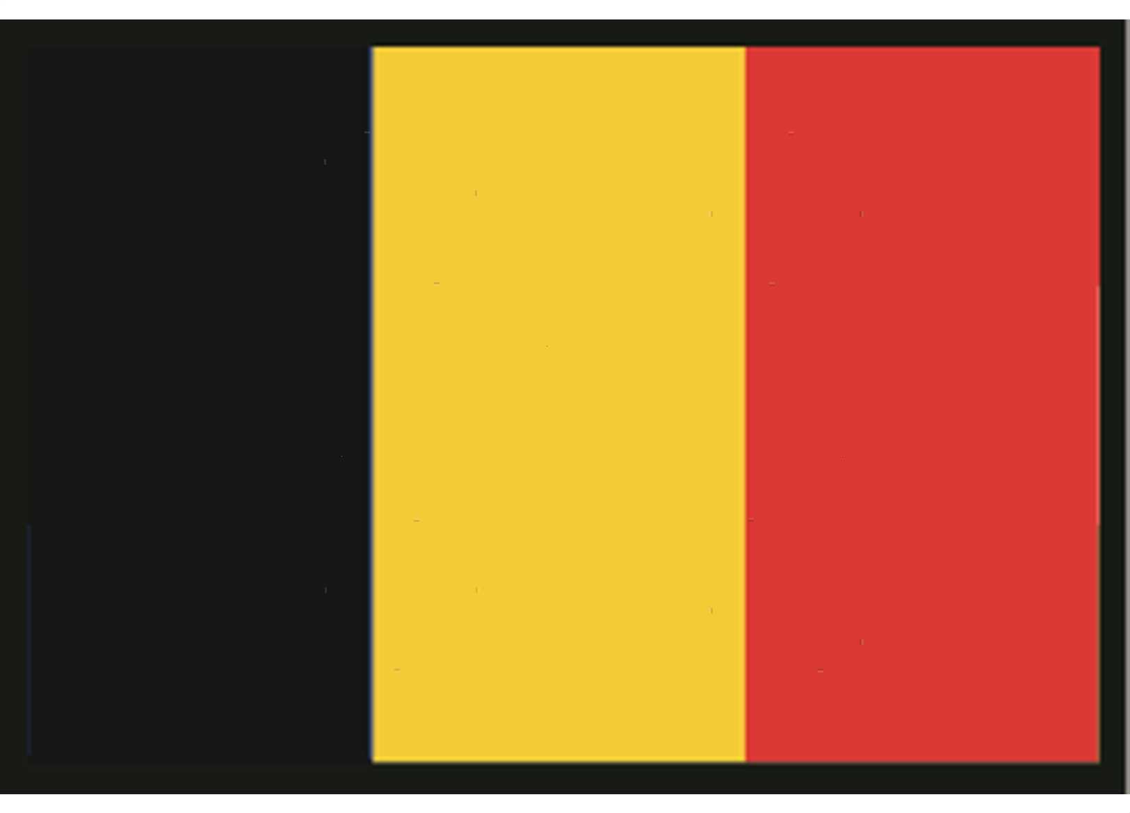 Bandiera belgio bandiera belgio 30x45cm 3404930